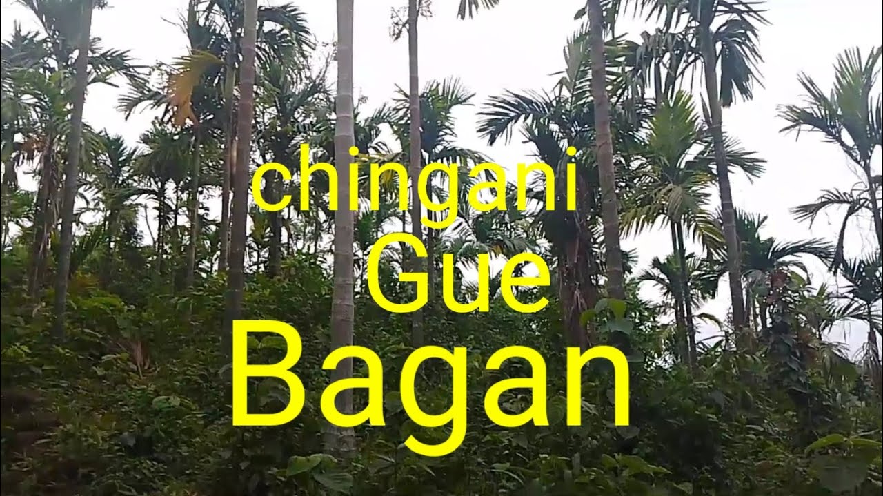 chingani Gue bagan - YouTube