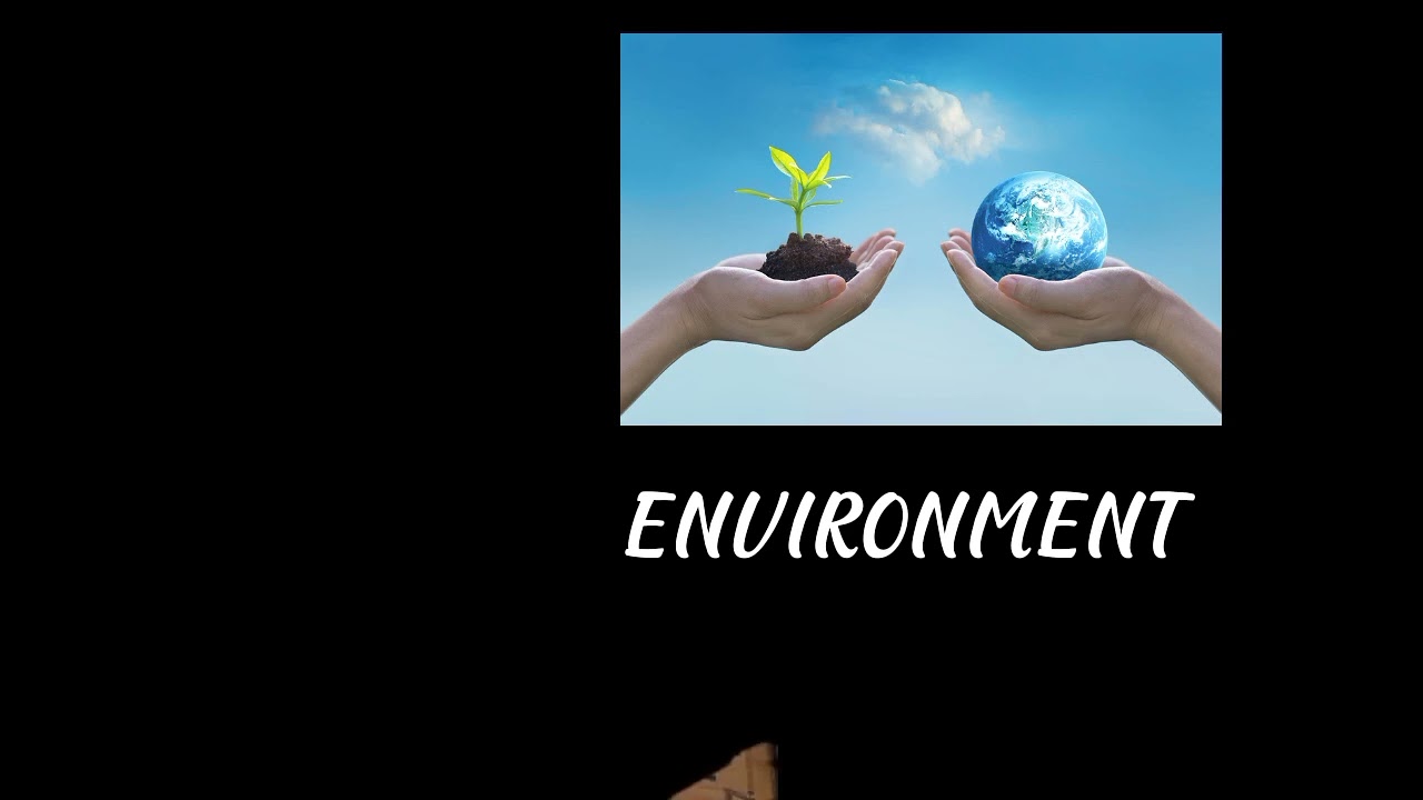 INFORMATIVE SPEECH ABOUT ENVIRONMENT ( for educational purposes only ...