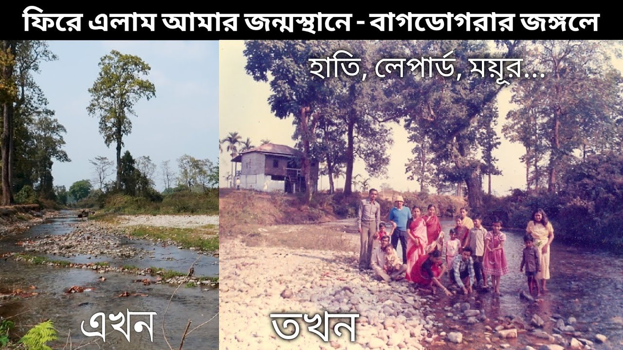 Dahara Forest ~ Bagdogra ↑ Tea Garden , River, Hills ↑ Travel Vlog #157 ...