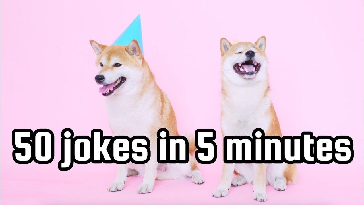 50 One Liners! You'll HAVE to watch it TWICE or SloMo! Short Joke Bloke ...