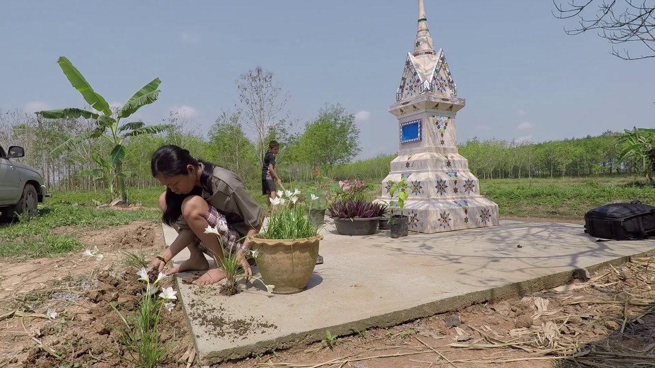 The Day Busy in the Farm - YouTube