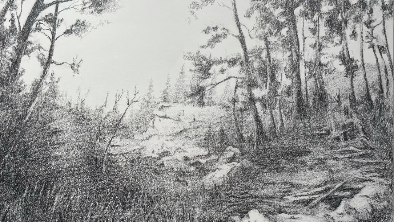 Drawing a Landscape Using Graphite - YouTube