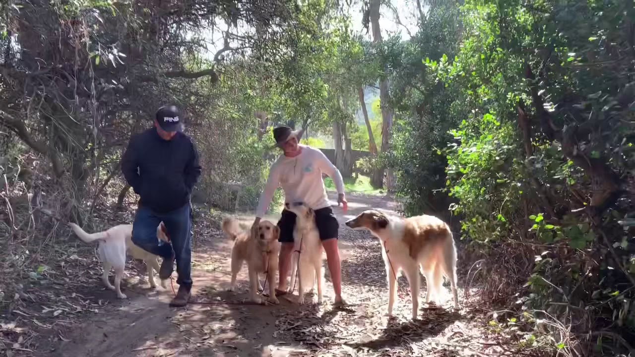The Noble Dogs / Pack Walk/ Grant D Noble - YouTube