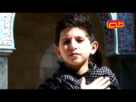 أنا ثائر _  الرادود هادي فاعور