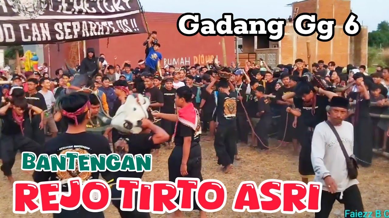 Kalapan Bantengan Rejo Tirto Asri | live Gadang Gg 6 - YouTube