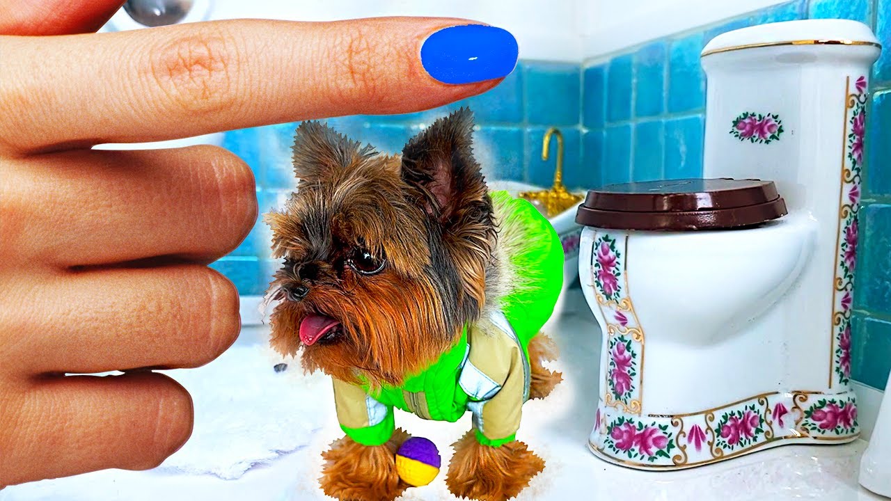 The Cutest rescued Puppy found a new home! Building a NEW Amazing HOUSE ...