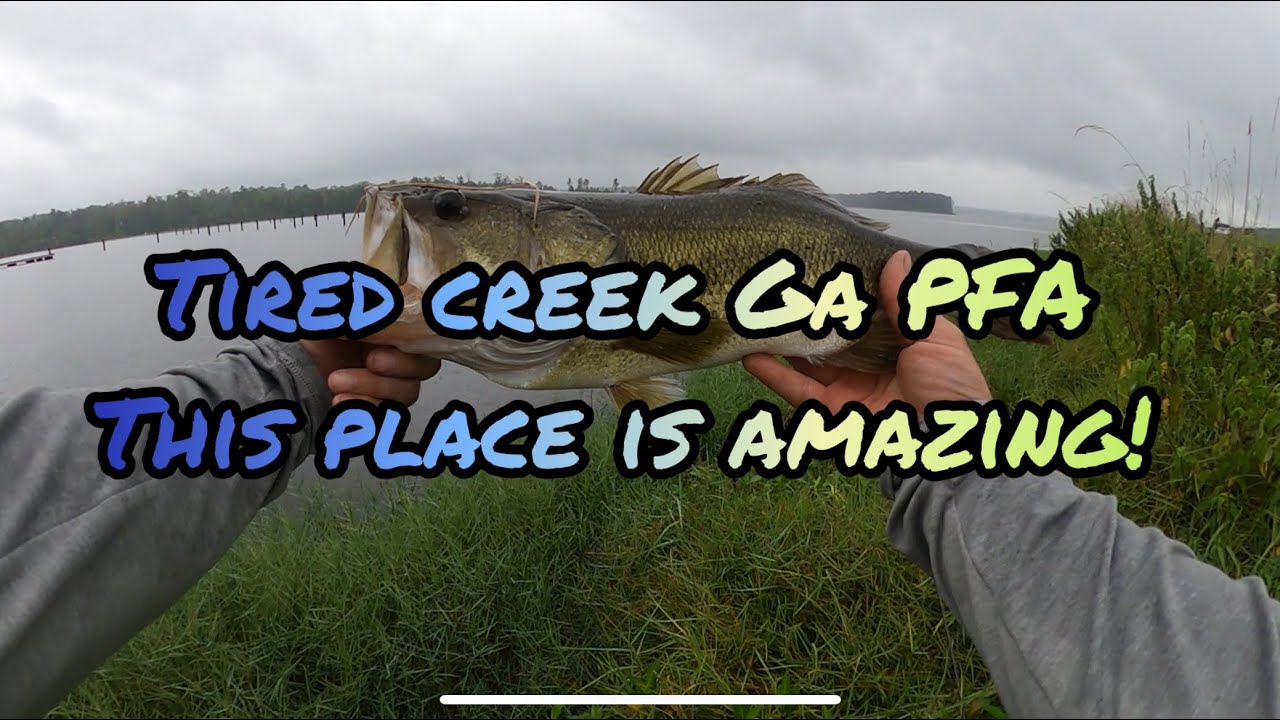 Tired creek Ga PFA. This place is amazing! - YouTube