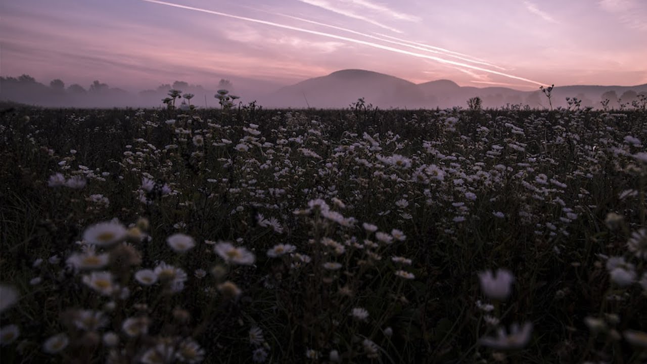 Kingsley Scanlon - brain cancer (Official Audio) - YouTube