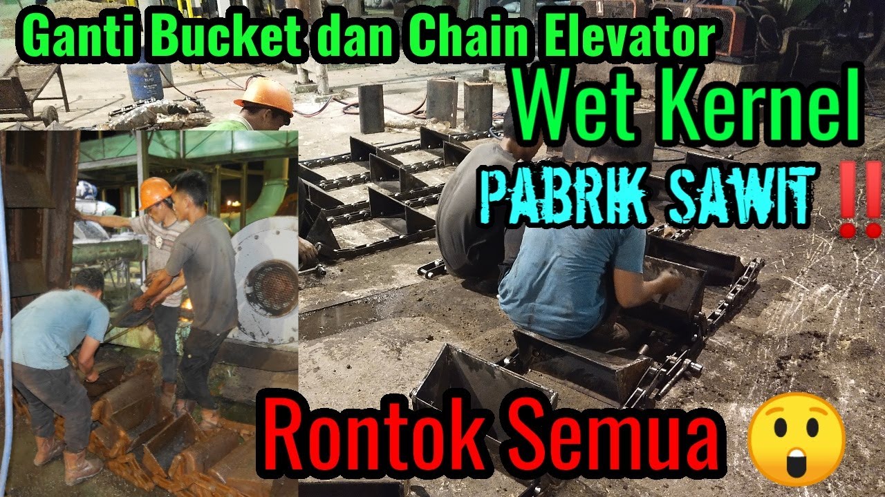 Elevator Bucket dan Chain Elevator Wet Kernel ‼️ Malah begini‼️ - YouTube