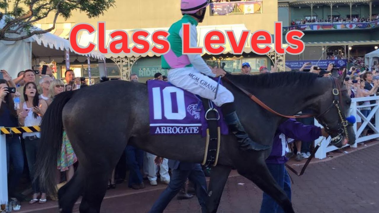 Part 7 - How to Read a Horse Racing Form - Class Levels - YouTube