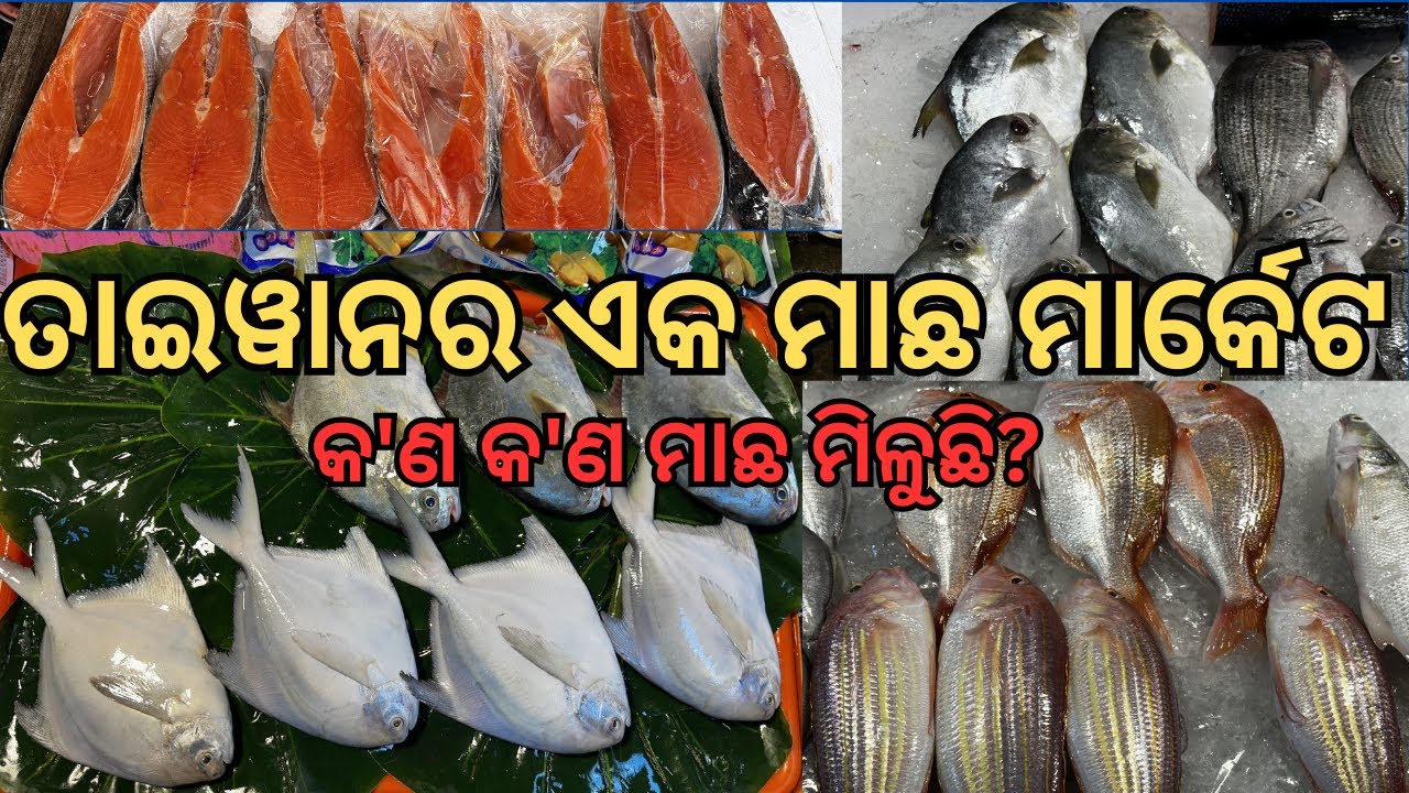 Zhongli Fish Market ରେ କ'ଣ କ'ଣ ମାଛ ମିଳୁଛି? ଦାମ୍ କେତେ? - YouTube