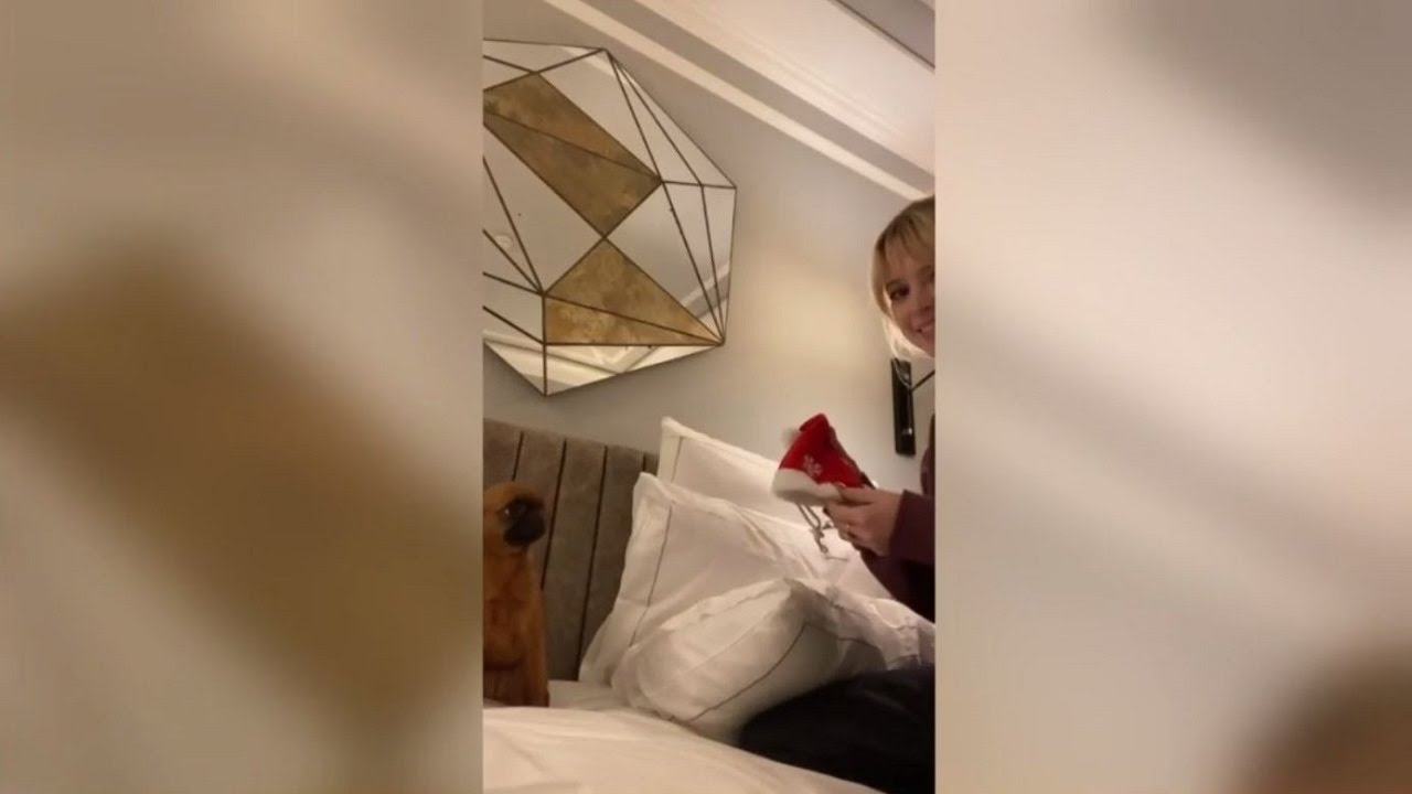 [Zap Réseaux Sociaux] Angèle dégoûte son chien de Noël ! (29/12/21 ...