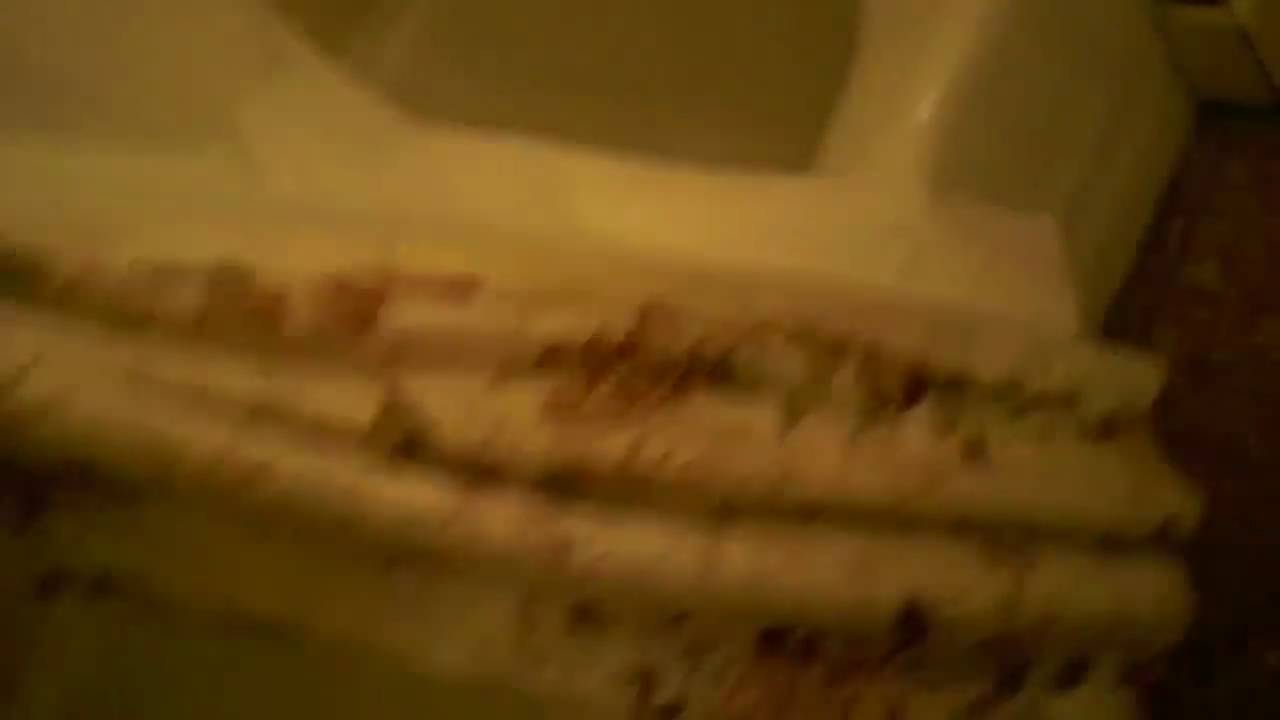 Epic Fail, Shower knob broke water everywhere water explosion water ...