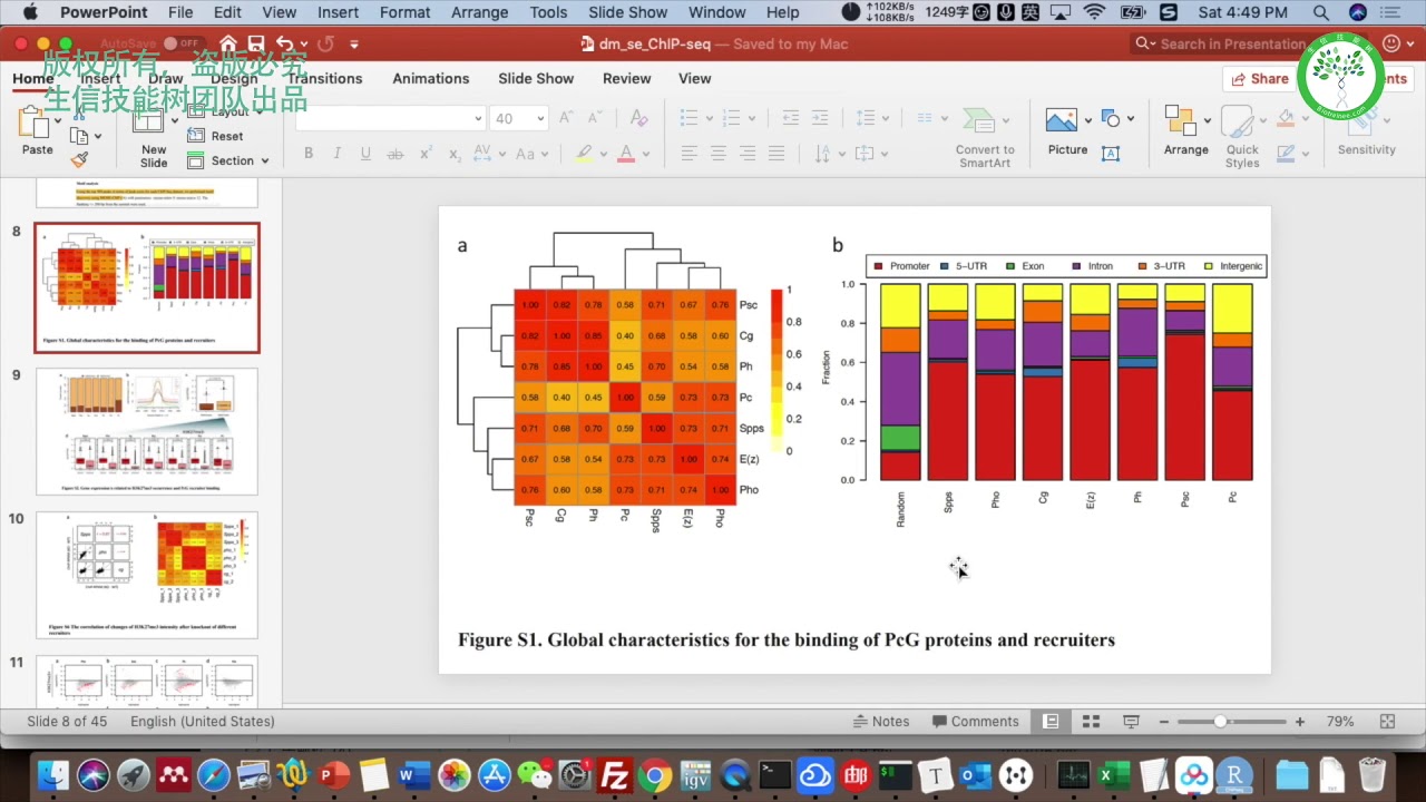 11 使用 ChIPseeker 对单组 Peak 进行注释与可视化 - YouTube