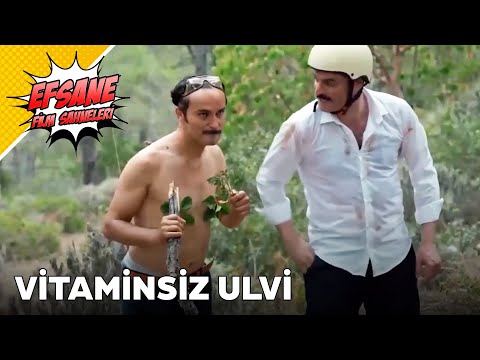 Ormanın Çocuğu Olduk | Geniş Aile 2 Her Türlü