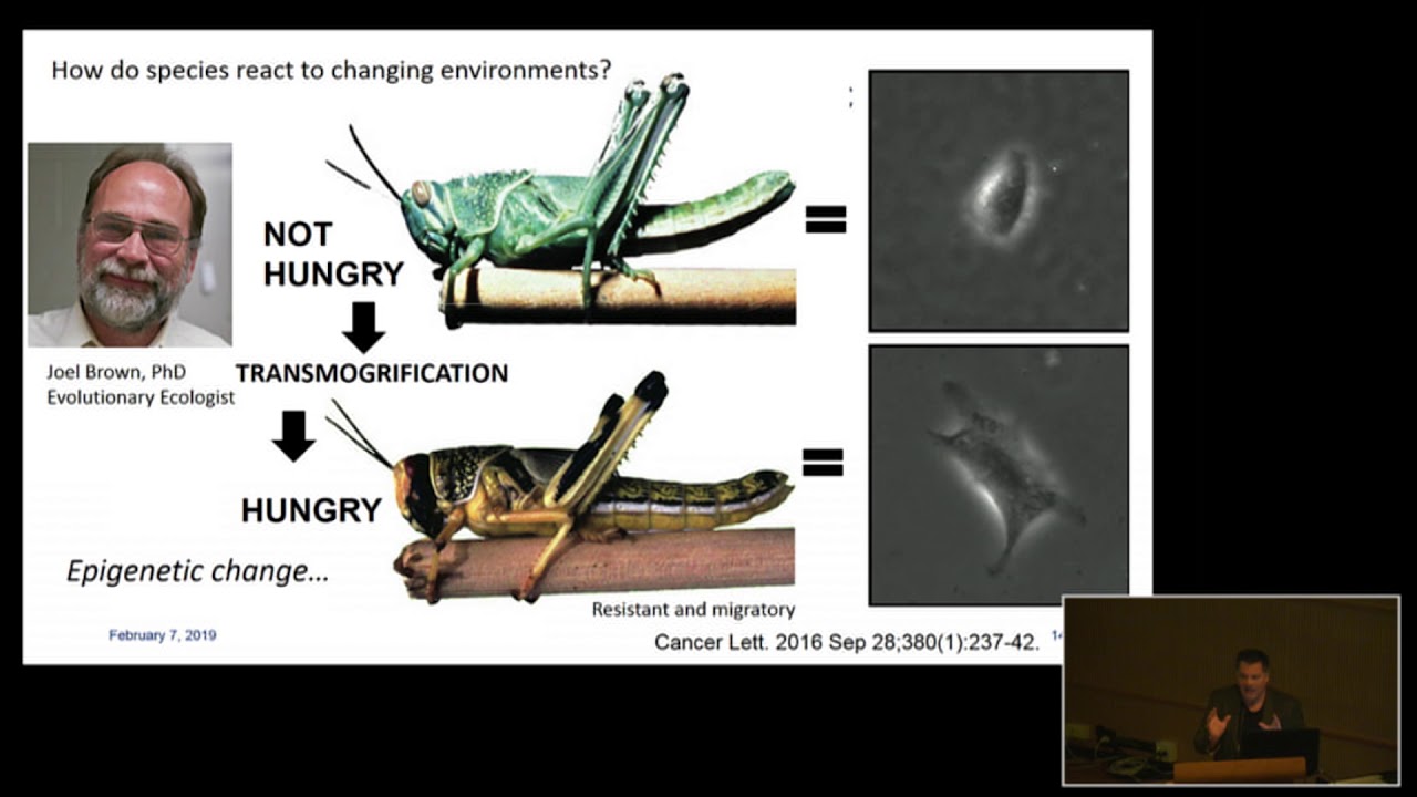 Kenneth Pienta - YouTube