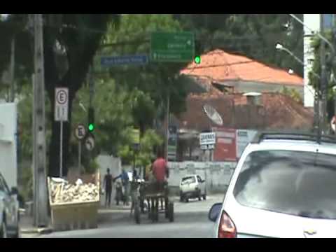 Cavalos, Carroças e Charretes - O meio de transporte do Recife