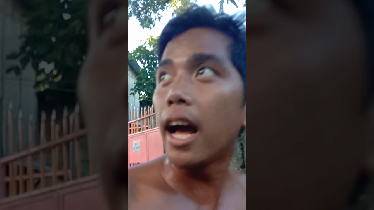 Karera ng kalapati | Memes - YouTube