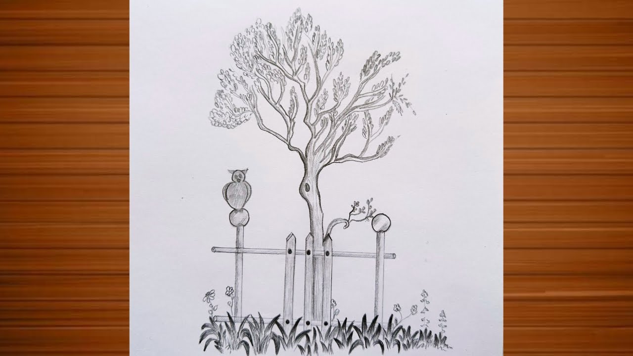 How To Draw Beautiful Nature || Simple Tree Drawing With Pencil For ...