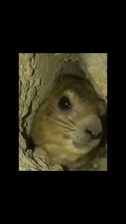 I got 20 dollars in my pocket - YouTube