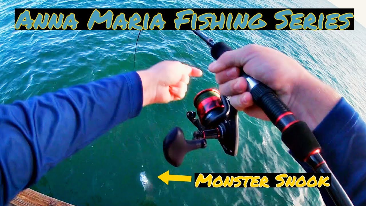 Fishing for Giant Snook on Anna Maria Island - YouTube
