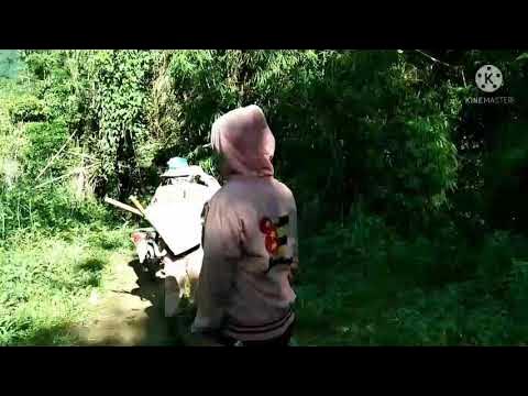 hnub no mu ua teb tshav kub tiag2 li o lawv aw - YouTube