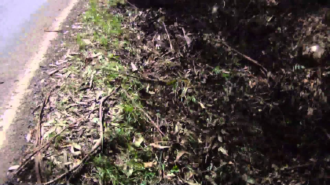 Donna stack - YouTube