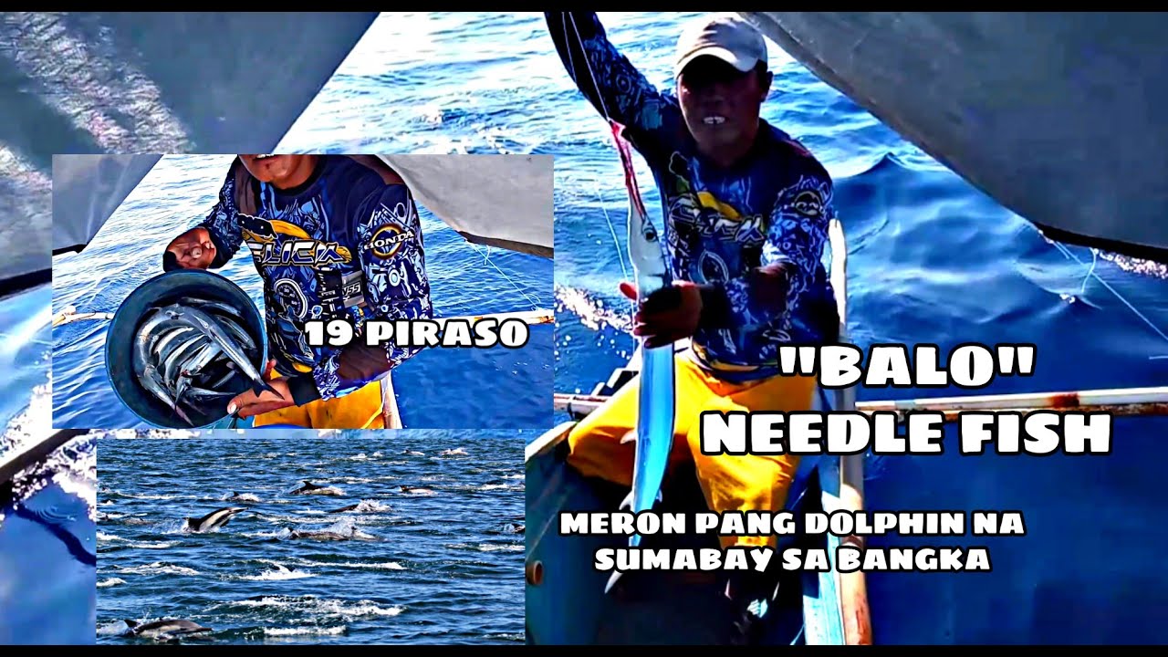 19 PIRASO "BALO" NEEDLE FISH - YouTube