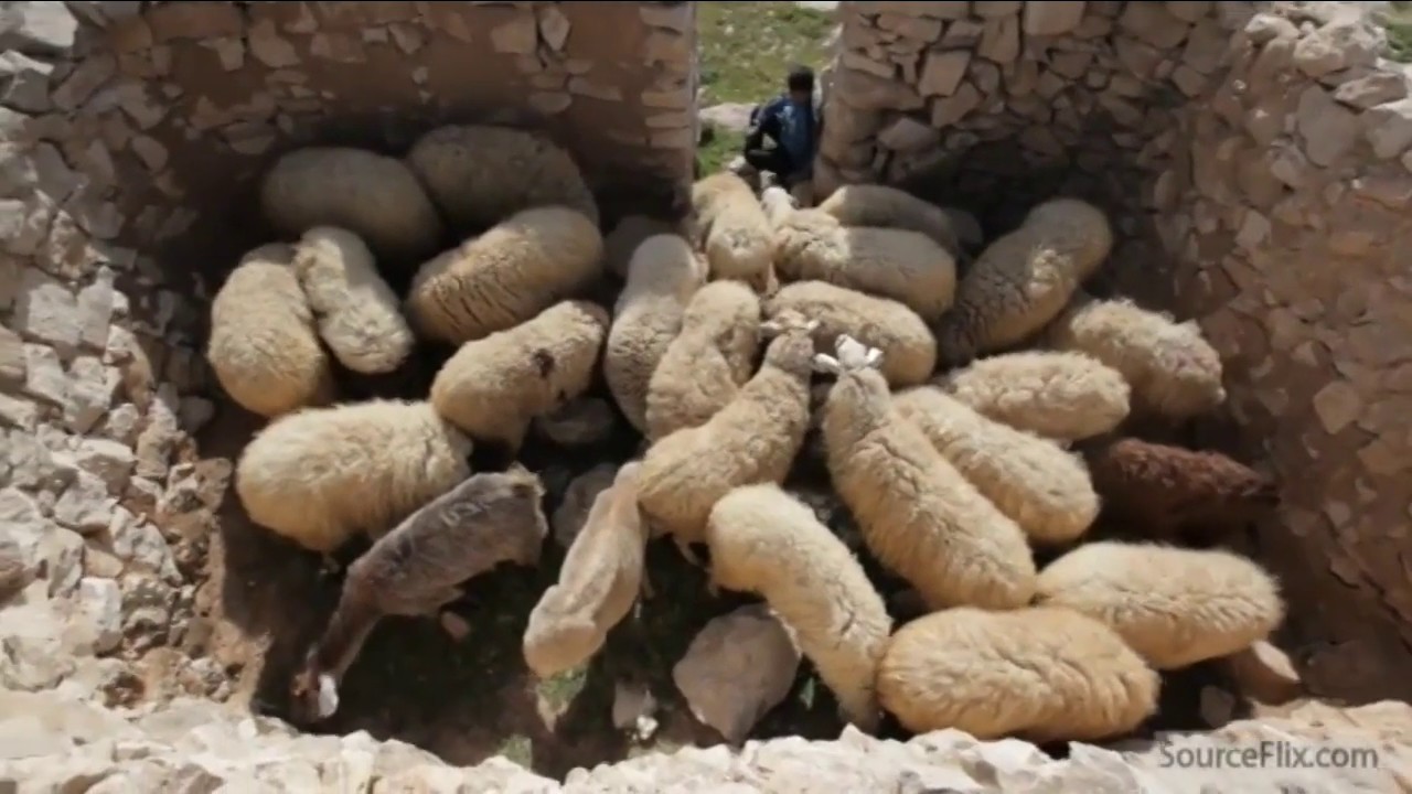 "The Good Shepherd" & "The Gate" - YouTube