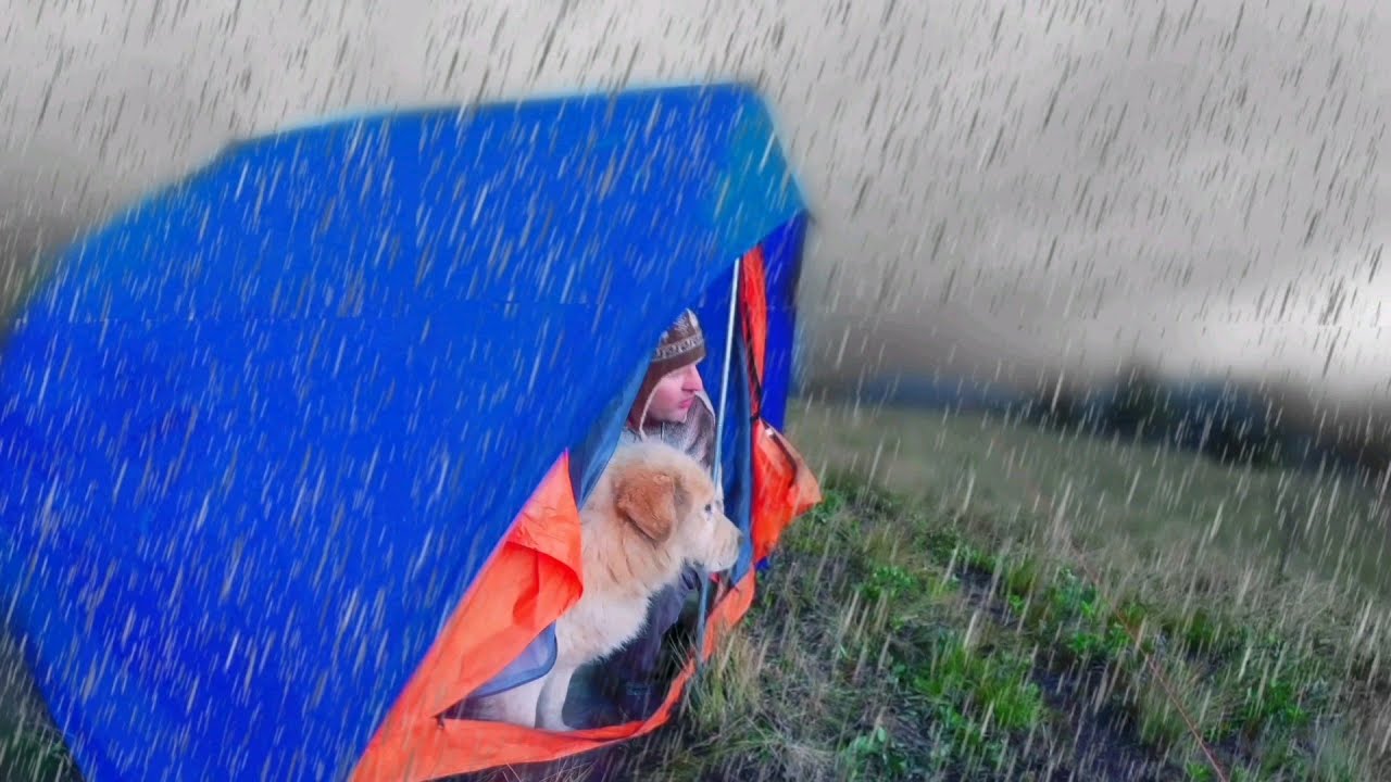 Surviving strong wind. Building shelter. Bushcraft. Camping in the rain ...