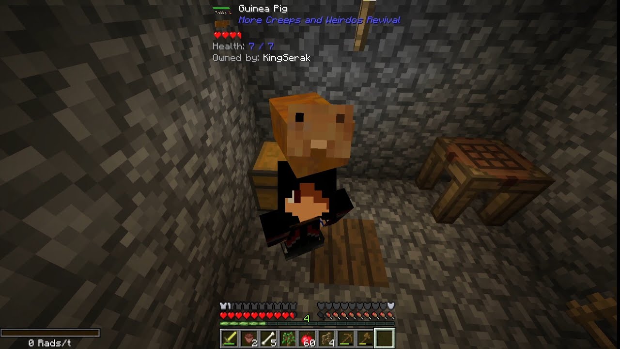 Minecraft With Guinea Pigs! - In Search For A Home - YouTube