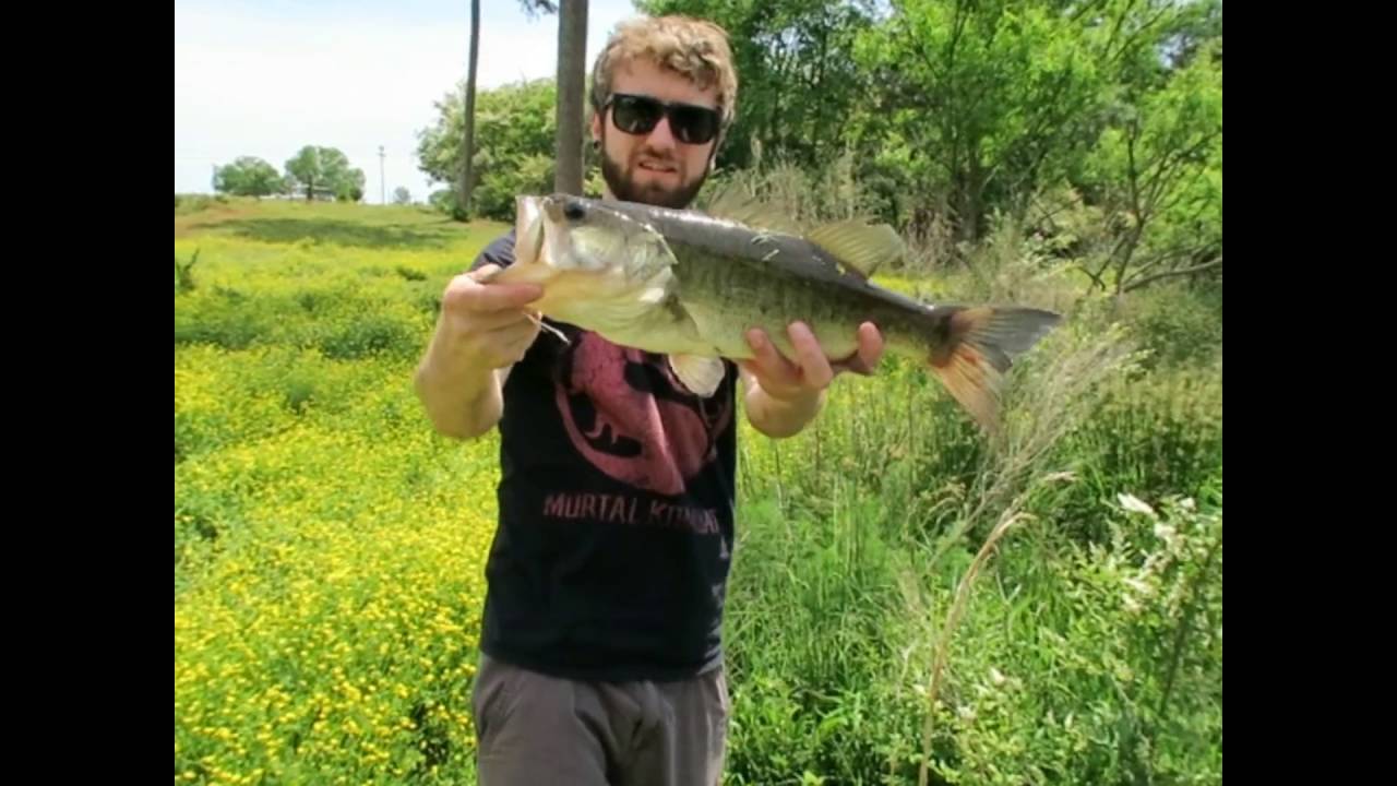 Small Farm Pond Bass Fishing - YouTube