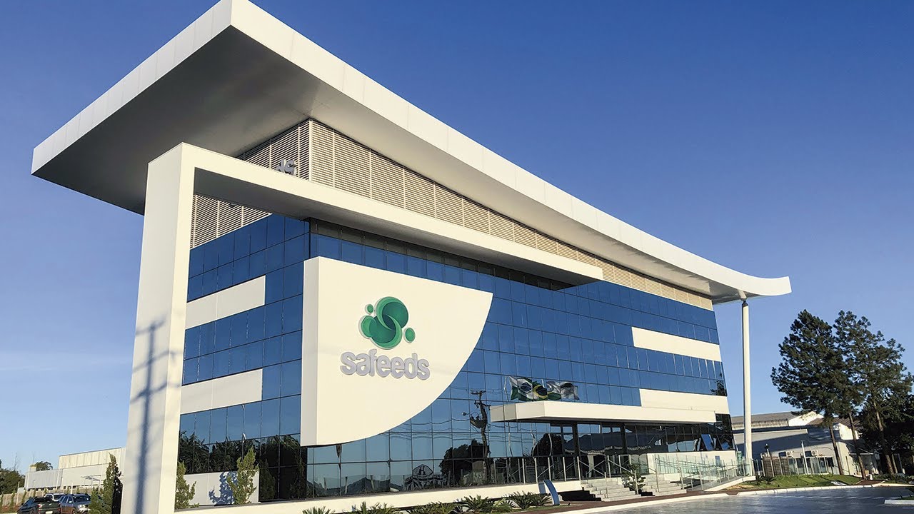 Safeeds - Institucional 2019 - YouTube