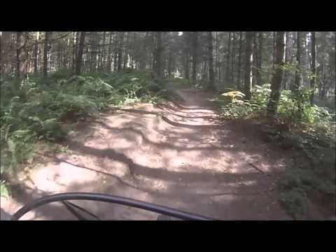 22 08 2015 Nottingham Sherwood forest Kichener Trail