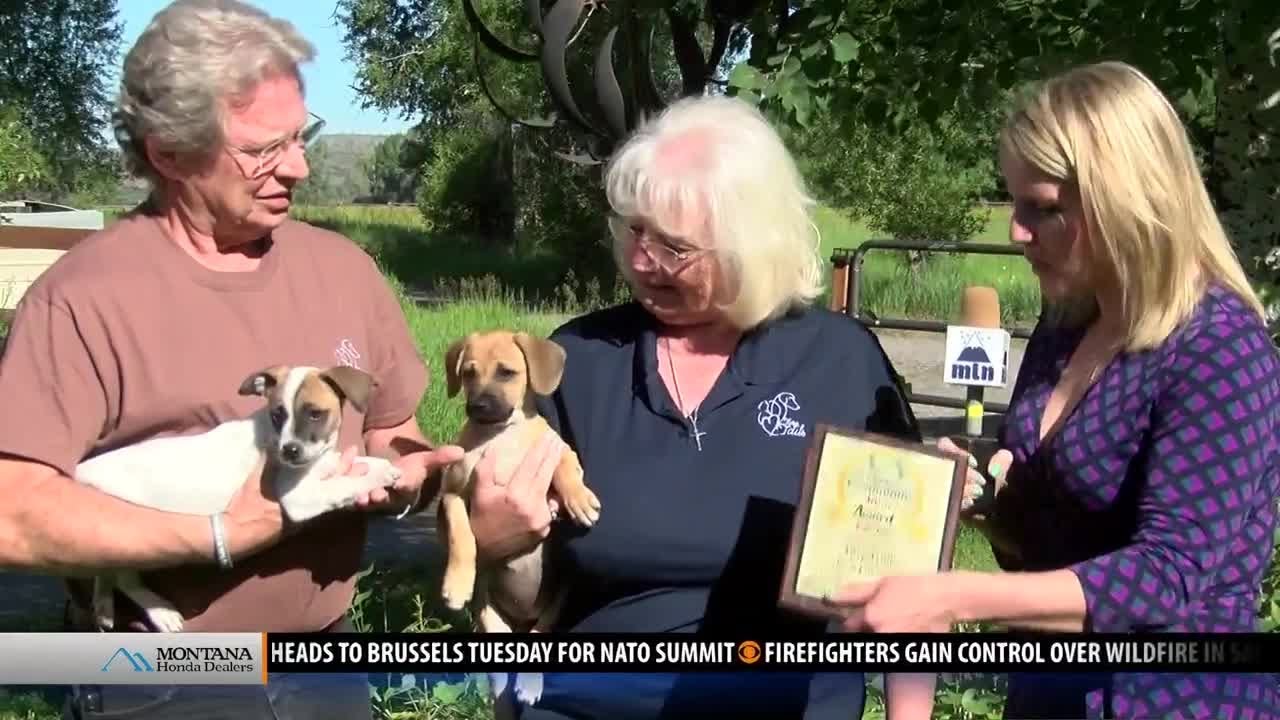 Our Community First: Tiny Tails K-9 Rescue - YouTube