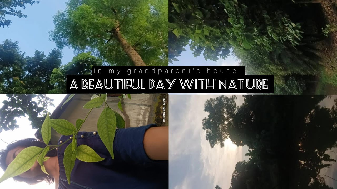 adorable memories with myself & nature 🌱|| suki_momo - YouTube