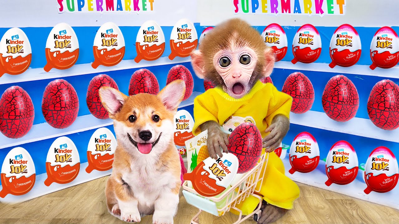 🔴Cute Monkey baby Bi Bon buy candy and have a party with the puppy ...