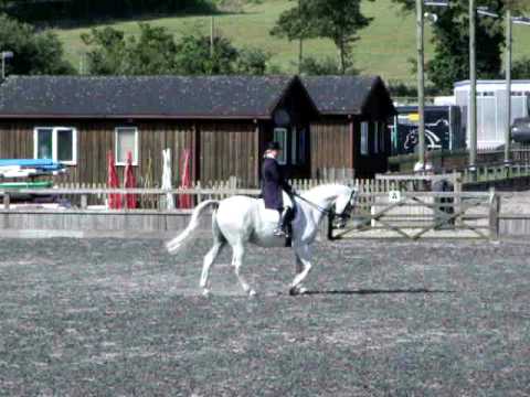 Karla Knapp riding Vinds-Mindes Midway Advanced 100. - YouTube