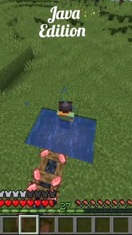 Java vs bedrock #trending #dream #gaming #viral #shortsvideo #minecraft #anshubisht #funny #meme ...