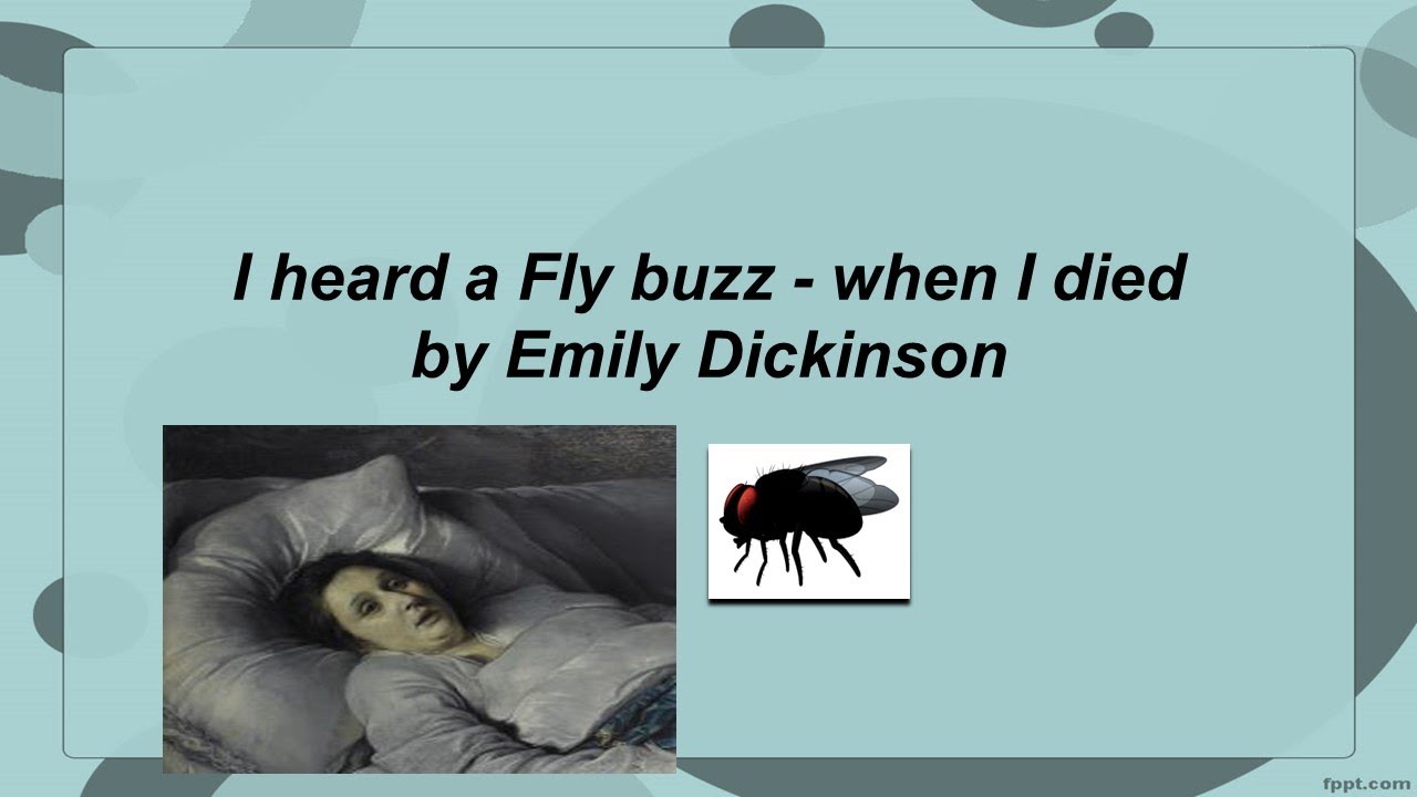 I heard a fly buzz when I died by Emily Dickinson - YouTube