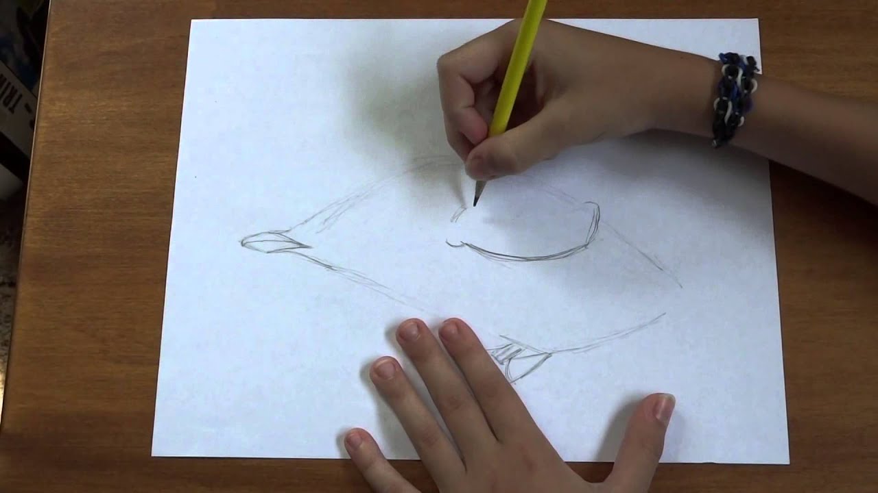How to draw a Chinstrap Penguin - YouTube