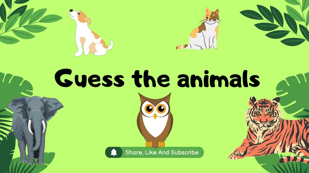 Guess The Animal | Wild Animal | Farm Animal - YouTube