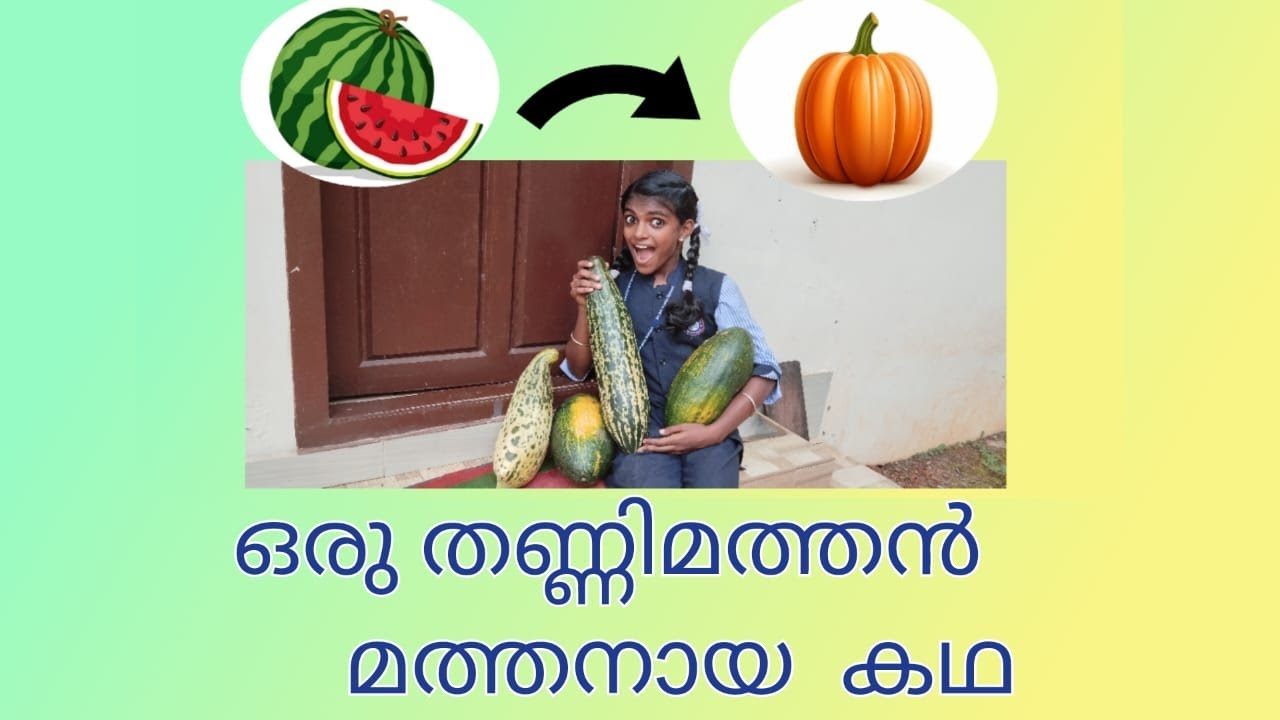 Watermelon🍉 Vs Pumpkin🎃 - YouTube