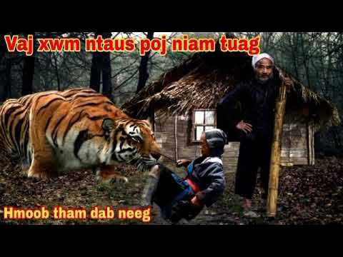 Dab neeg vaj xwm ntaus poj niam tuag..24/4/2023 - YouTube