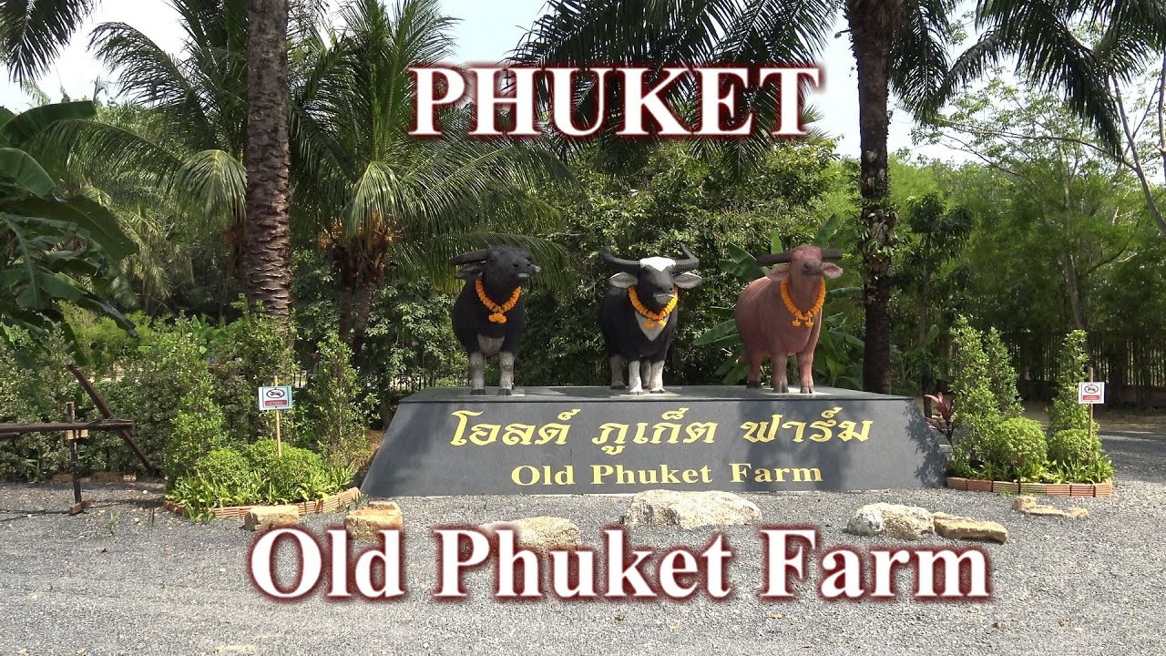 Phuket - Old Phuket Farm - YouTube
