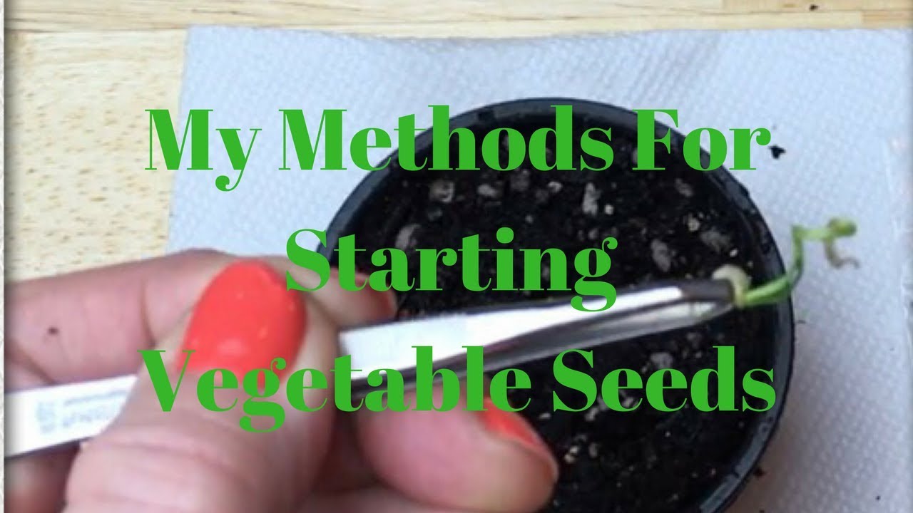 My Methods for Starting Seeds - Part 1 - YouTube