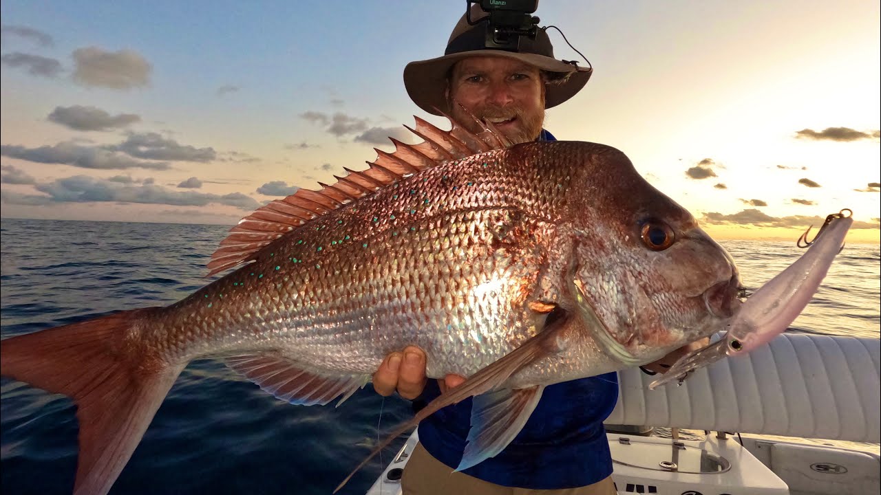 Reef Brawlers | Trolling deep diving lures REALLY WORKS! - YouTube