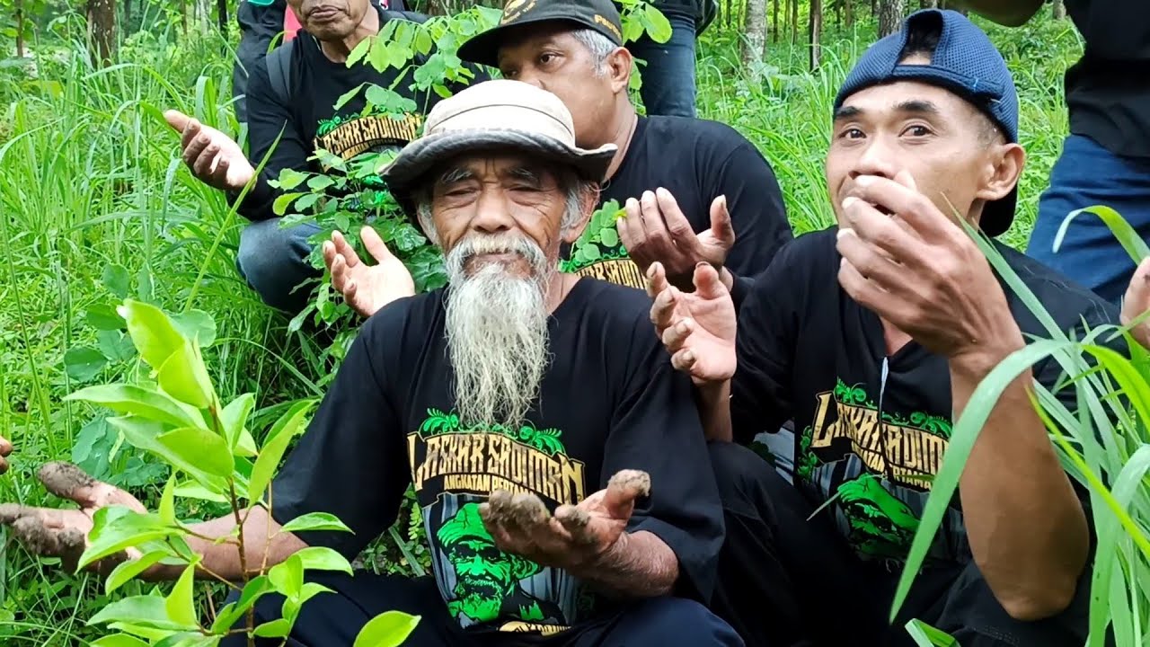Ritual mbah sadiman tanam pohon beringin - YouTube