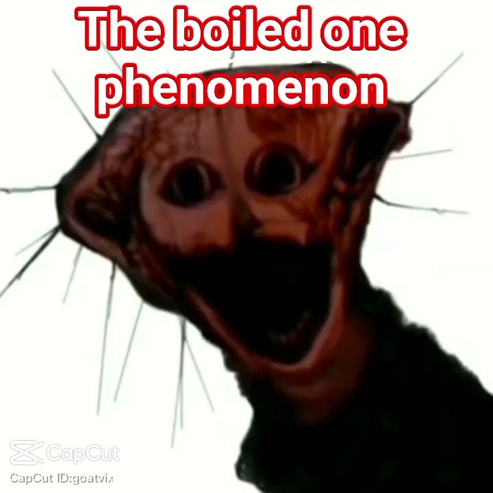 the boiled one phenomenon - YouTube