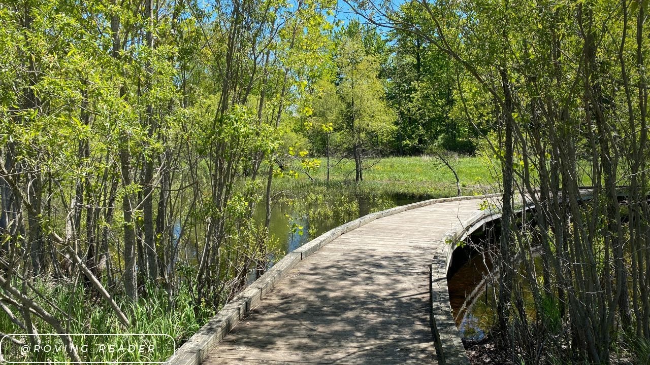 Spring Meadow Ambience | 45 Mins of Birdsongs, Frogs, and Other Nature ...